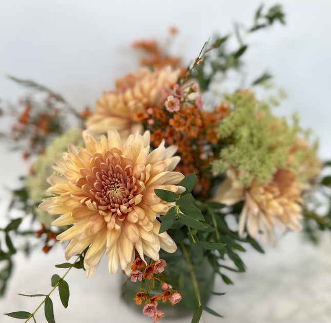 Fall Collection – Right Next Door Designs